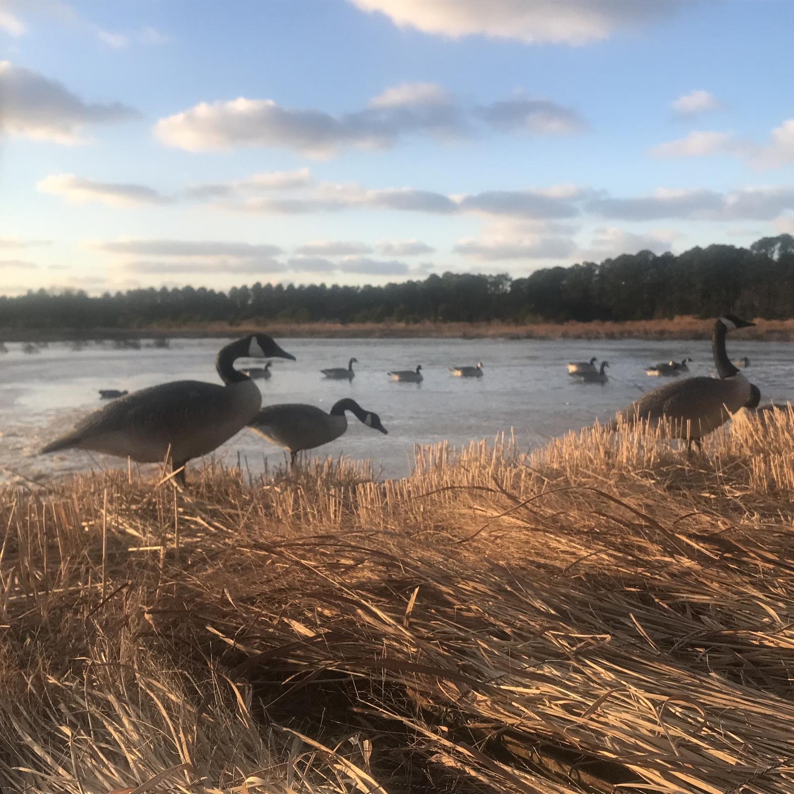 IMG_2922[1].JPG | SpinSheet